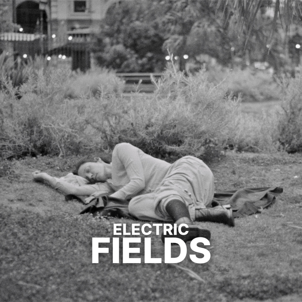 ELECTRIC FIELDS - Univerciné allemand